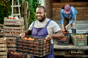Distribution in Agribusiness: How Agricultural Products Move from Farms ...
