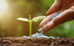 Understanding Agricultural Inputs To Harness Agribusiness Success ...